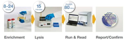 Sistema Automatizado para PCR - Applied Biosystems 7500 Fast - Thermo ...